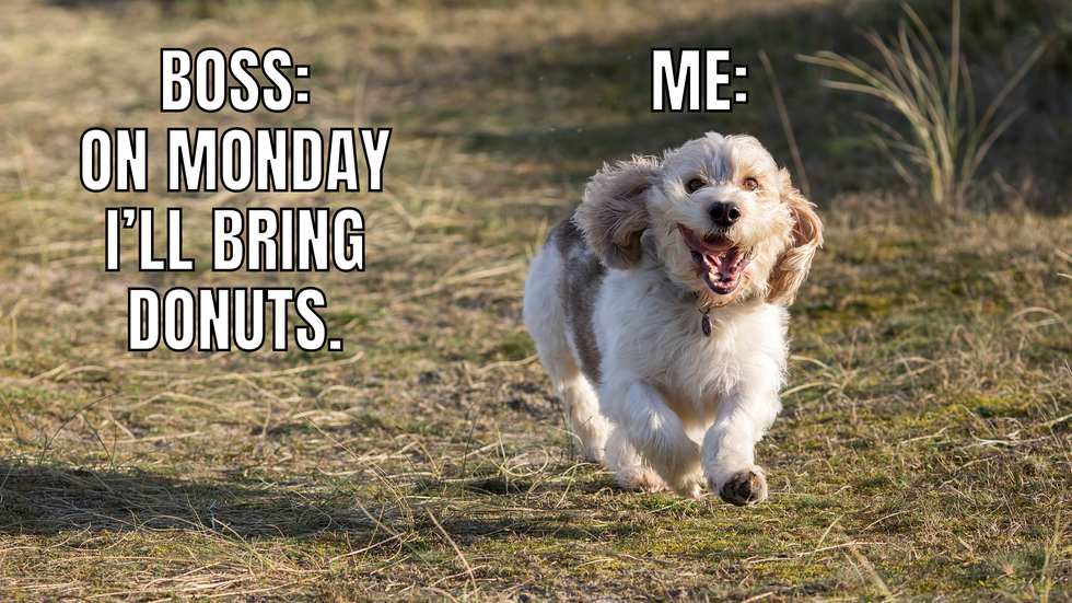 The ultimate Monday meme collection - PowerToFly