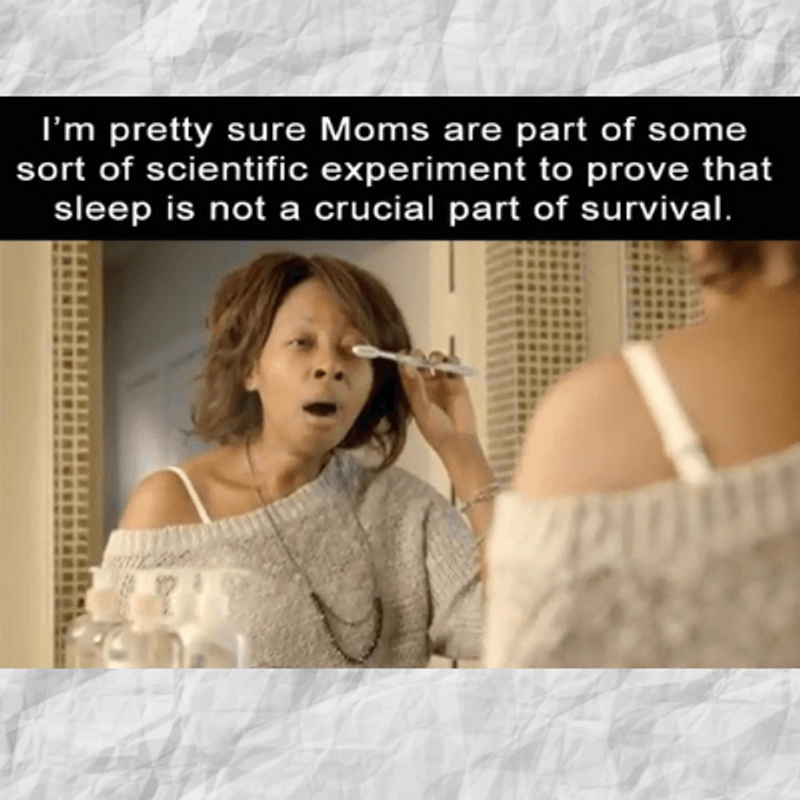 Female Owned Memes 30 Wise Women's Memes For Confident Women Who Trust