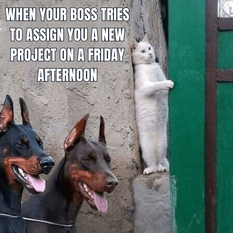 Happy Friday Tgif Funny Work Thank God Its Friday Cartoons And Comics